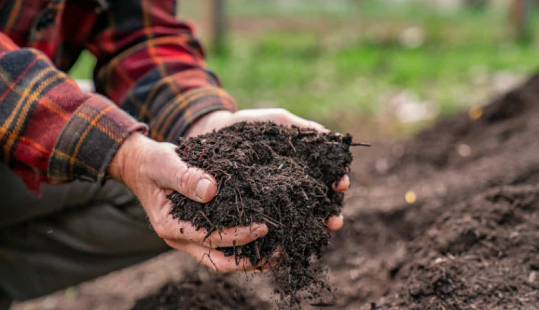 Qué es el compost: ¡Te lo explicamos! | PSA